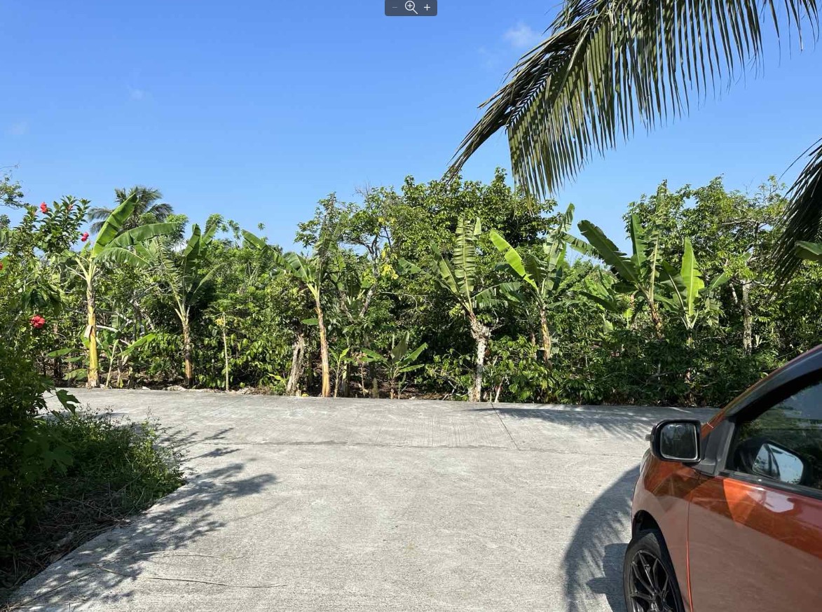 FOR SALE TWO LOTS (1,000 SQM EACH) RESIDENTIAL LOT IN COASTAL ILAYA ...